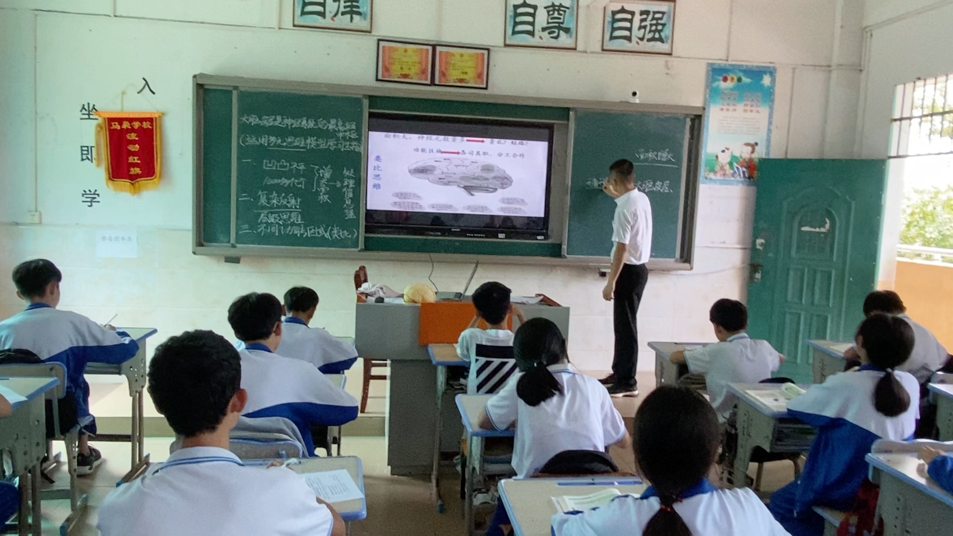 运用多元思维模型帮助初中生学习生物《大脑皮层是神经系统的最高级...