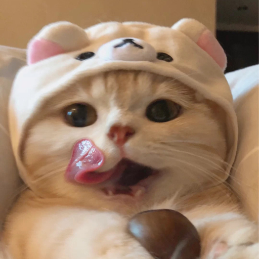 就叫我浣熊吧 
