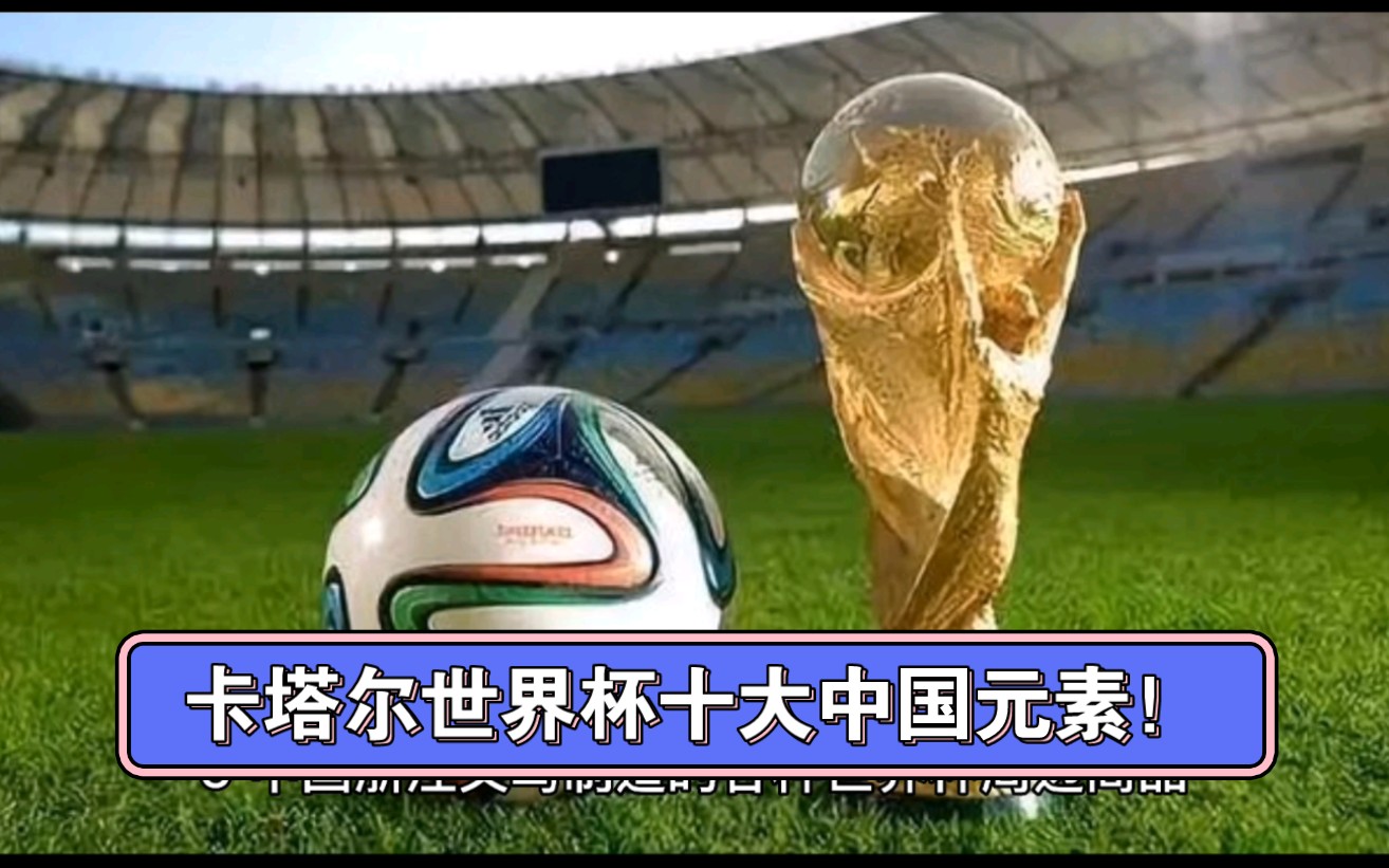 卡塔尔世界杯十大中国元素!缺谁谁尴尬!