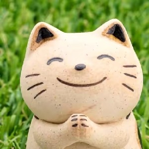 无极限的用户 