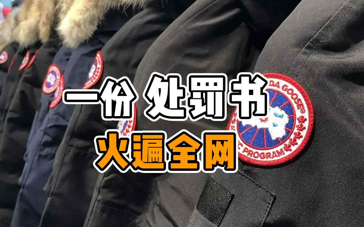 一份处罚书火遍全网,加拿大鹅虚假宣传被罚45万,货不值钱的下场