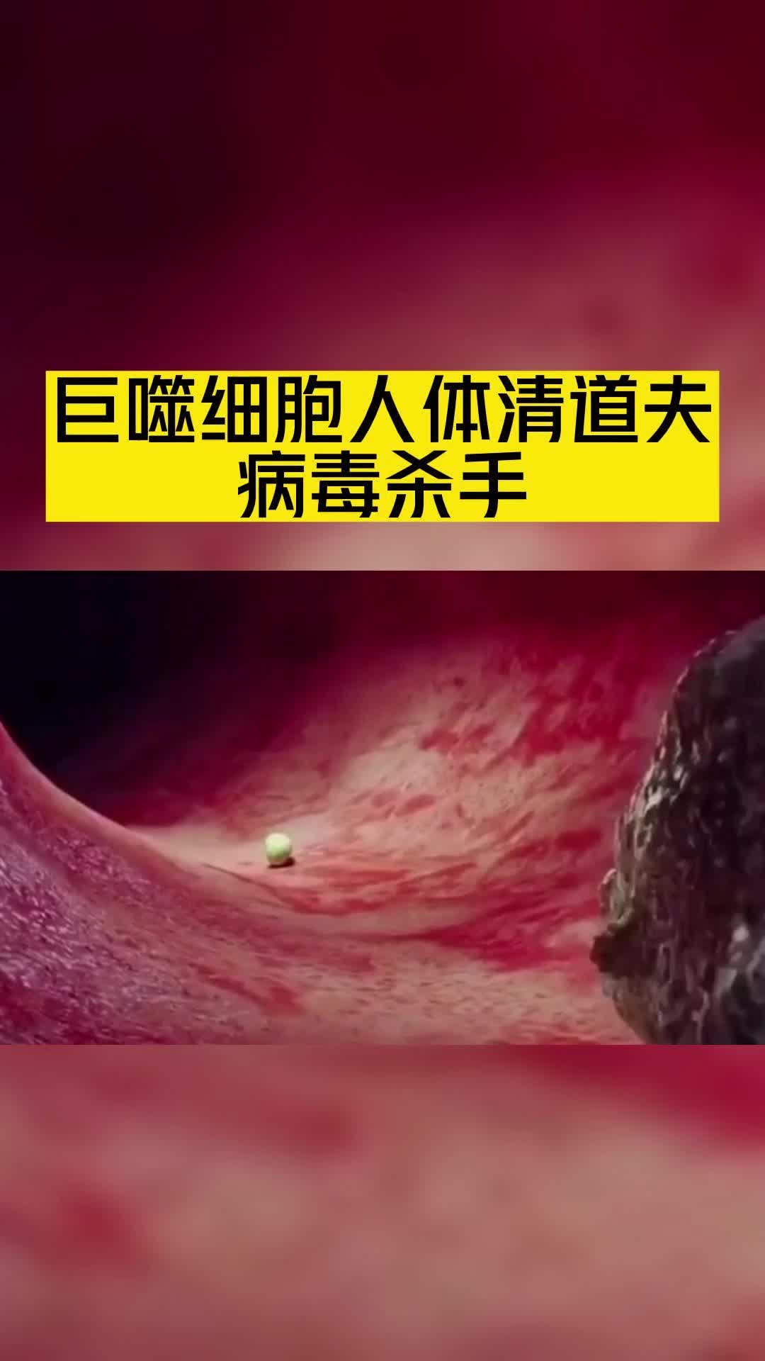 巨噬细胞人体清道夫病毒杀手