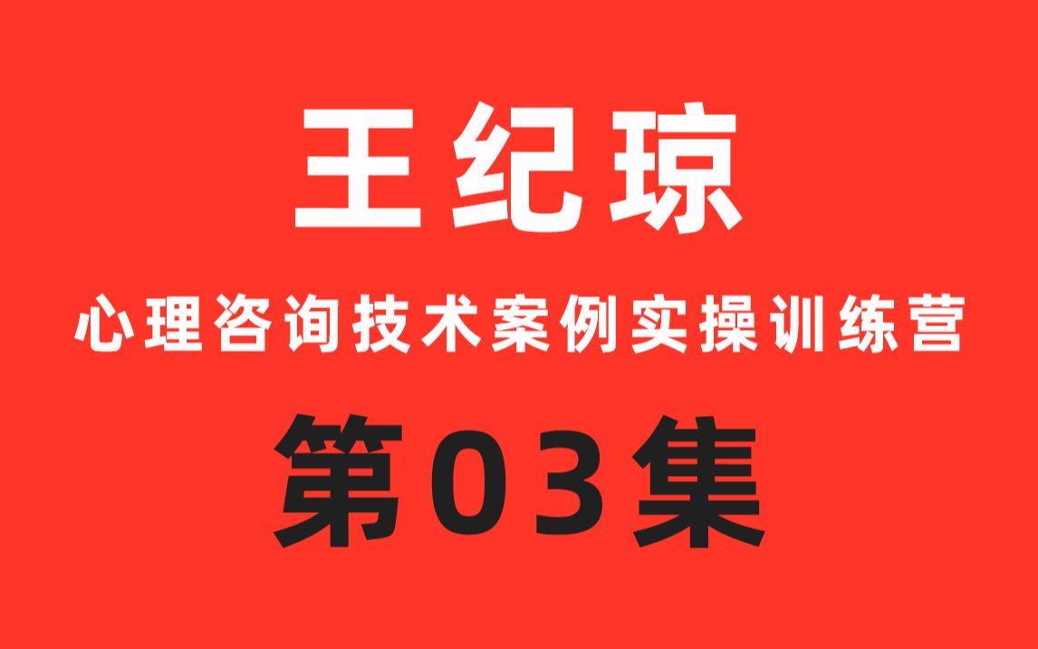 王纪琼心理咨询技术案例实操训练营第3集