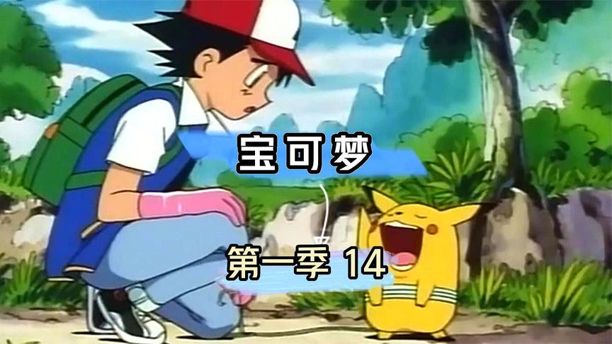 宝可梦解说:第一季14,皮卡丘对决雷丘,枯叶道馆小智对战马志士