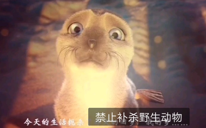 保护野生动物宣传短片