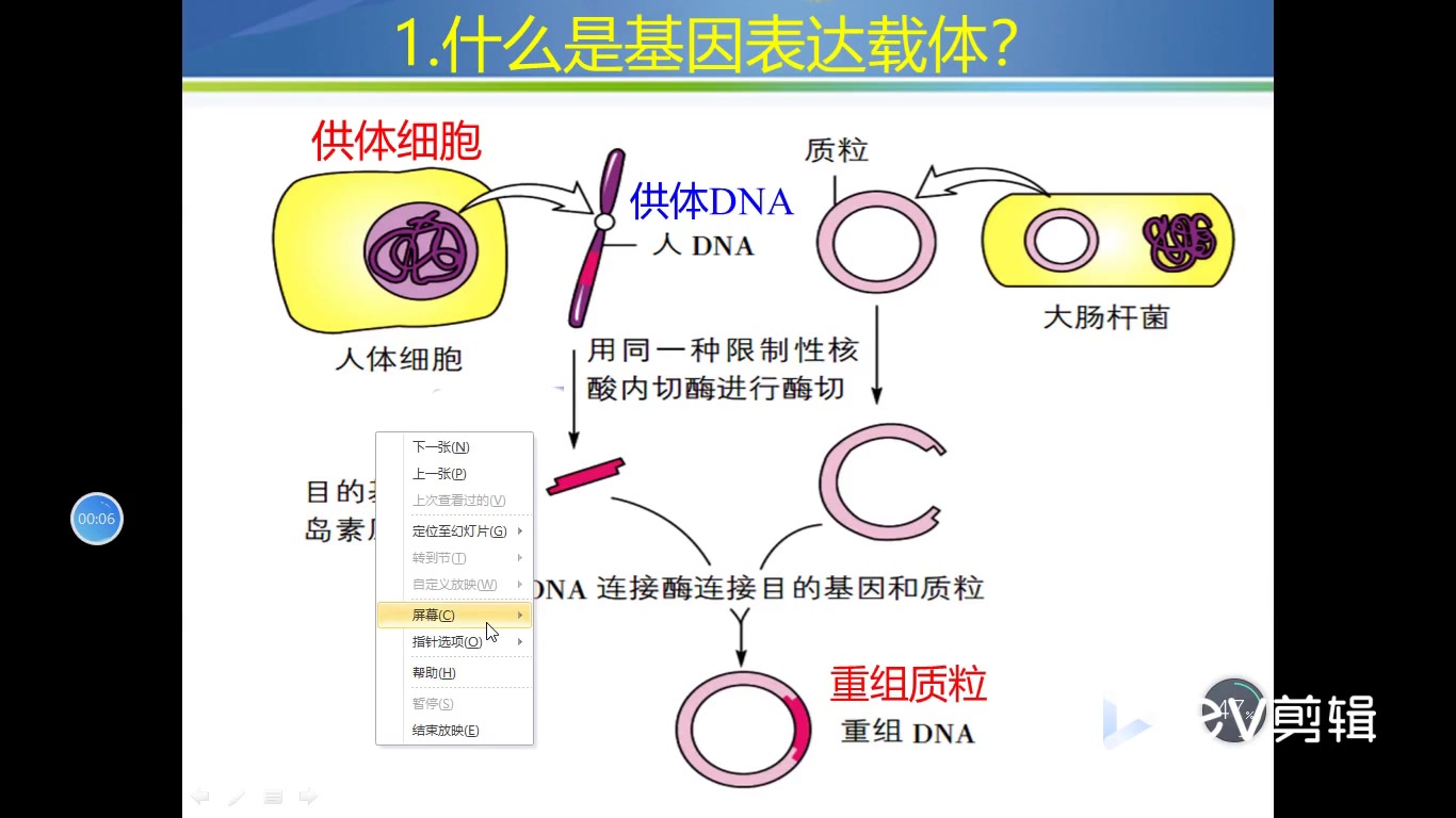 1,2,2基因工程-基因表达载体的构建