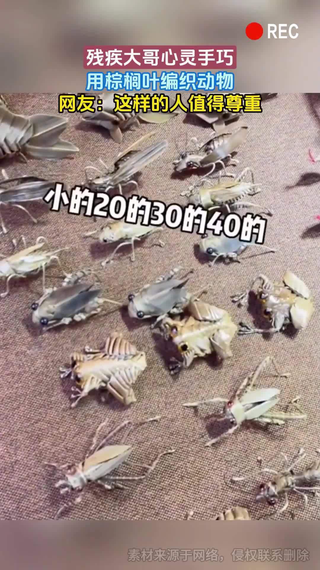 残疾大哥心灵手巧,用棕榈叶编织动物,网友:这样的人值得尊重