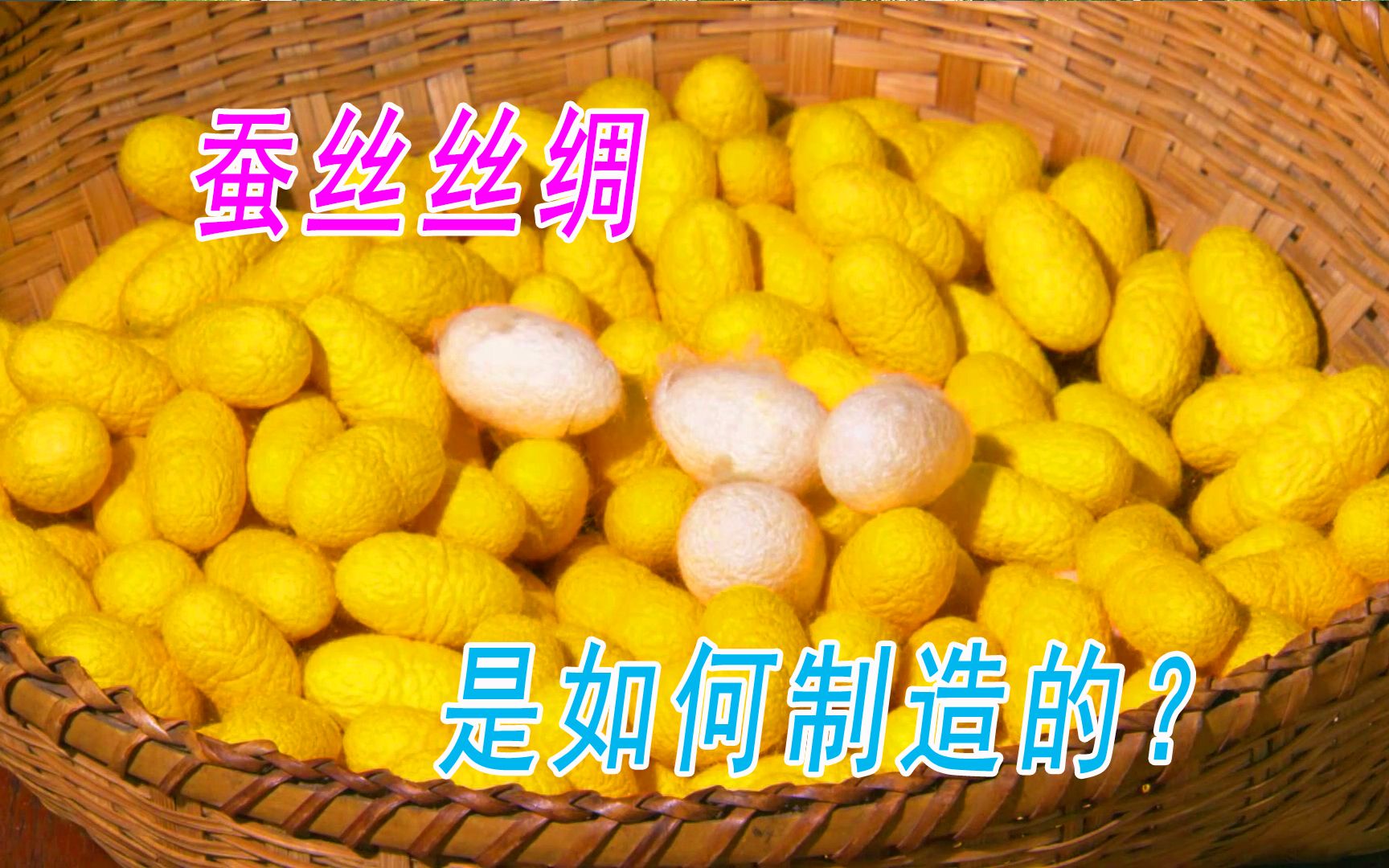 丝绸是怎么制作的?探访国外桑蚕工厂,记录蚕茧到丝绸全过程