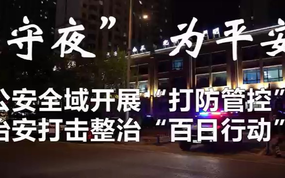 【夏季治安打击整治“百日行动”】为群众“守夜” 为平安“站岗”