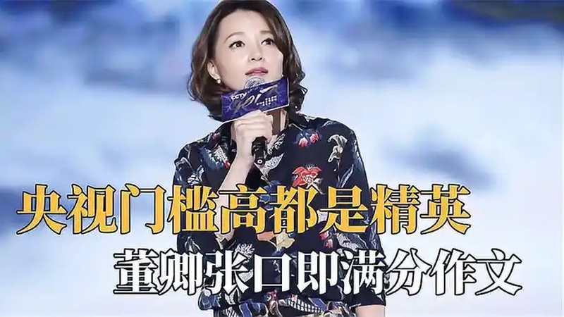 央视门槛虽高却都是精英,董卿张口即满分作文,撒贝宁全能才艺