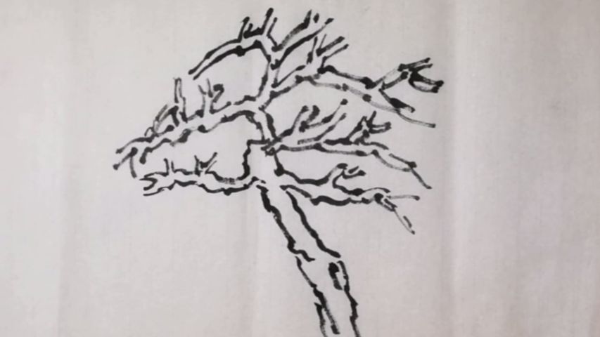 5.4.1松树画法步骤1,松树,树,国画快速入门