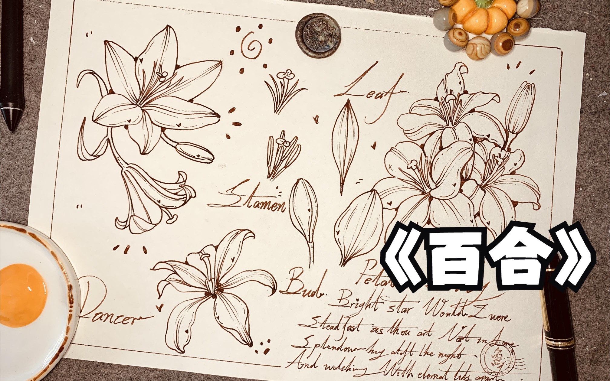 灵魂舞者/鱼老师钢笔淡彩