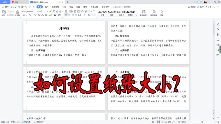 WPS文档怎样设置纸张大小?任何你需要的纸张尺寸都能自定义设置