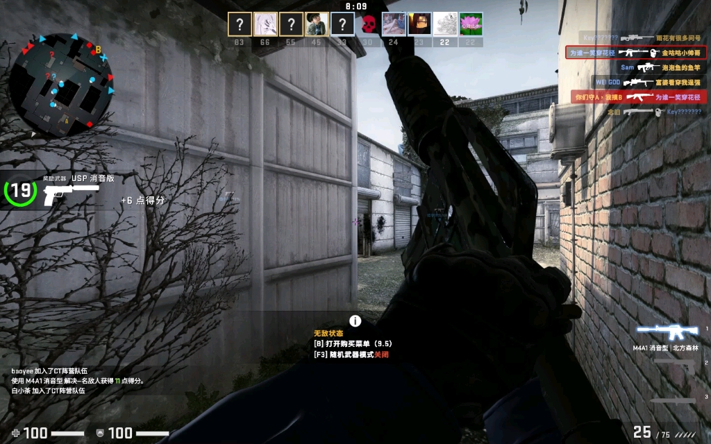 CSGO团队死斗