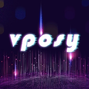 vposy软件安装管家 