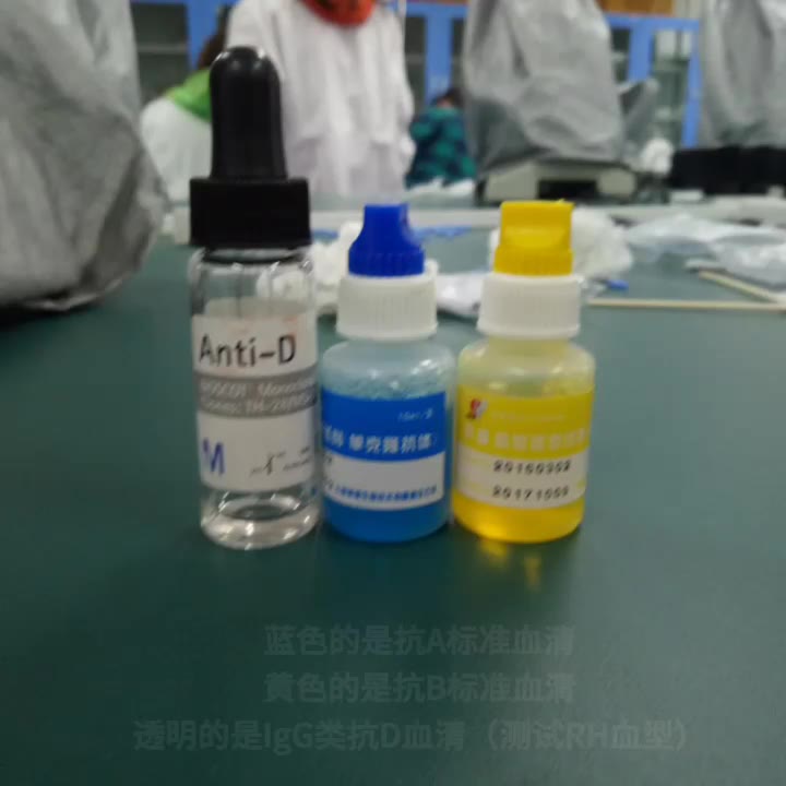 ABO血型和RH型血型测试