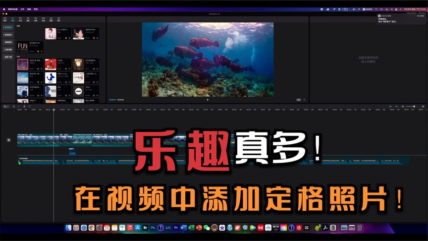 剪映乐趣多真!在视频中添加定格和摄影画面!