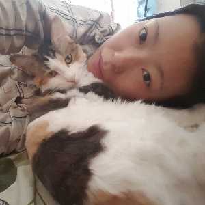 爱三只猫 