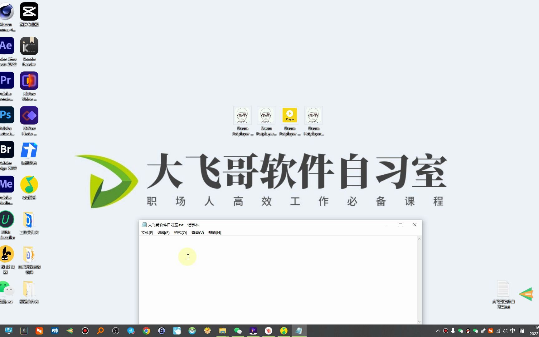 Daum Potplayer 播放器 v1.7.2一款使用C++重新编写视频播放器