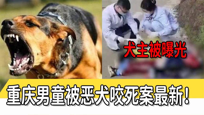 重庆8岁男童被恶犬咬死,父亲索赔92万,因1理由接受55万和解