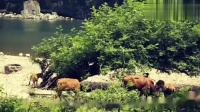 世界旅游城市桂林这个地名原来有这么多的经历故事