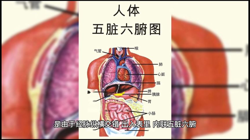 经络的三大作用:#健康 经络的三大作用,联系脏腑