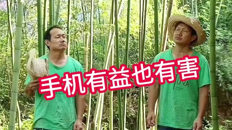 手机有益又有害 手机害人可不浅 我的乡村生活 沉迷手机的危害