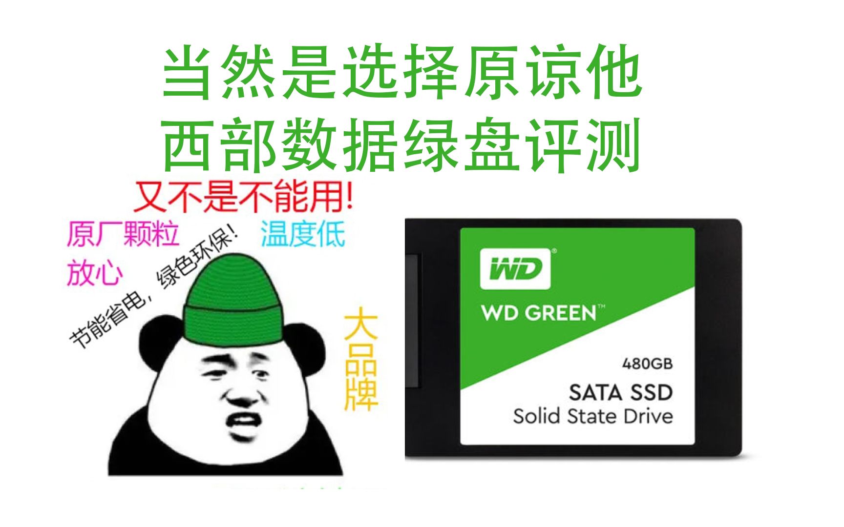 当然是选择原谅他,西部数据绿盘评测