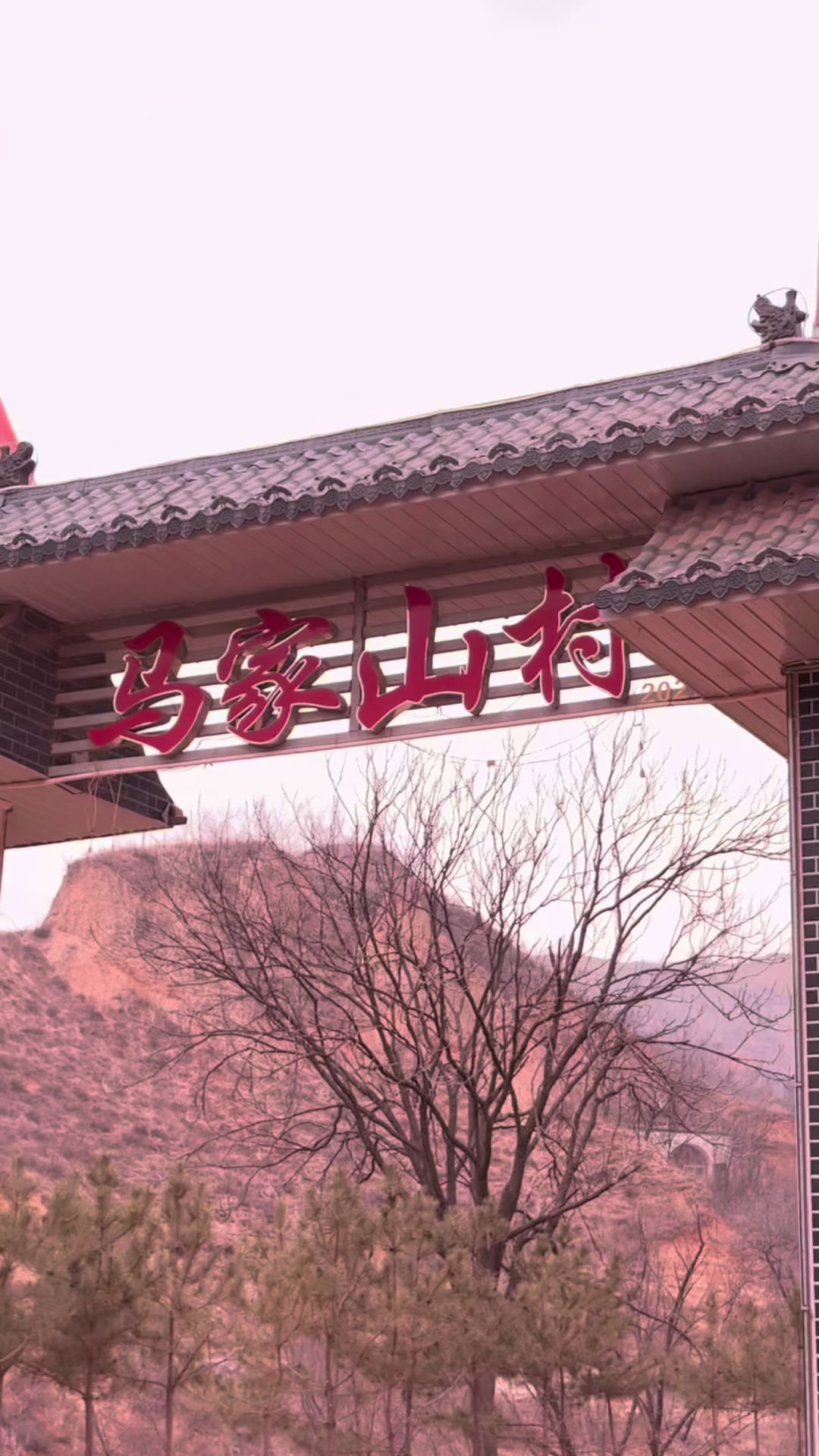 "党旗引领聚合力 消费帮扶助农兴"主题党日活动 #柳林婚庆#活动策划...