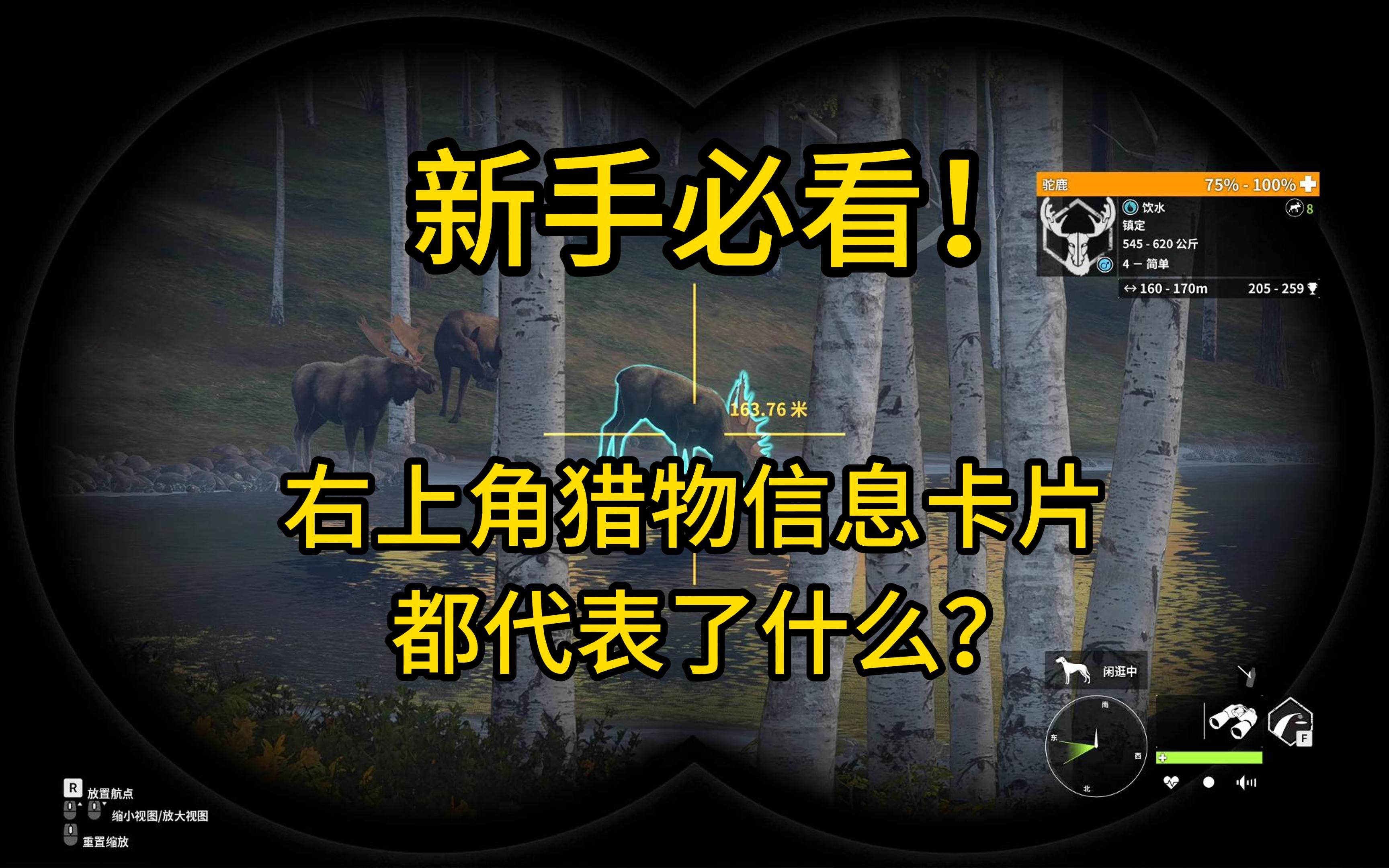 ...新手必看!右上角猎物信息卡片都分别代表什么意思?护林员为你解答!