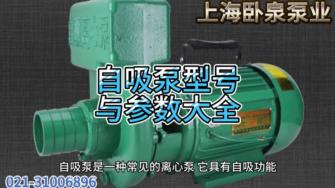 自吸泵型号与参数大全.mp4