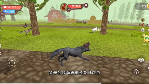 狼模拟器捕捉7只公鸡,7只母鸡和4只小羊