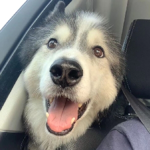 娜娜娜娜娜_____ 