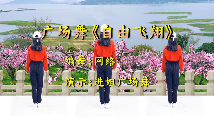 经典老歌dj《自由飞翔》完整版