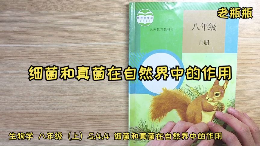 初中生物-八年级(上)5.4.4 细菌和真菌在自然界中的作用