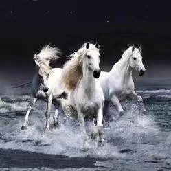 A排列五老师说码 