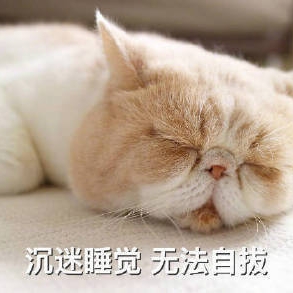 Likey_飞飞呀 