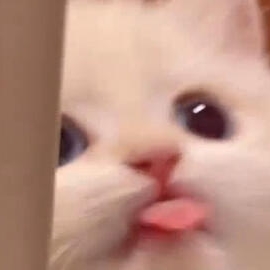 快乐小巫哩哩 