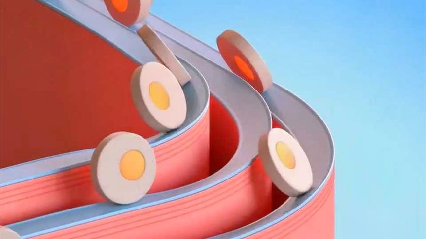 动画还原汉堡的制作过程,细节太治愈了!(下)