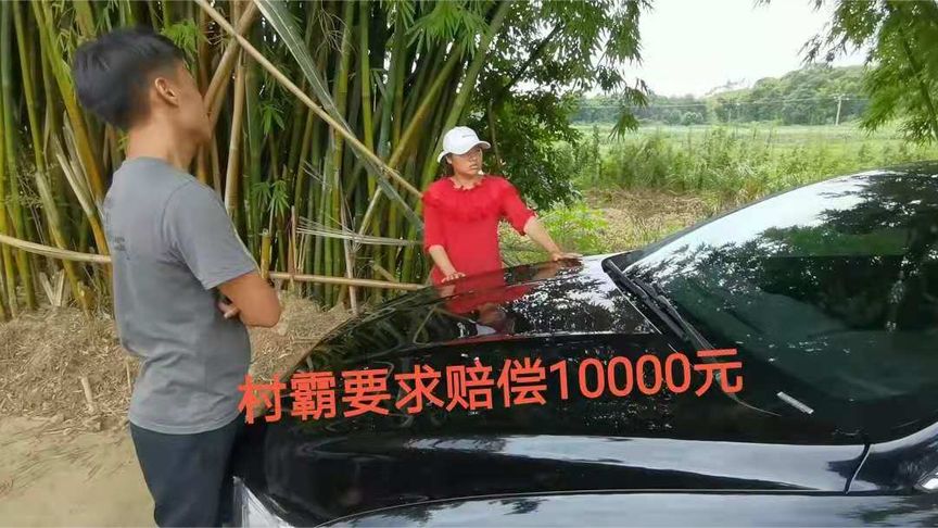 农村小妹随手扔了块石头,砸中价值10000多的玻璃,到底该怎么办