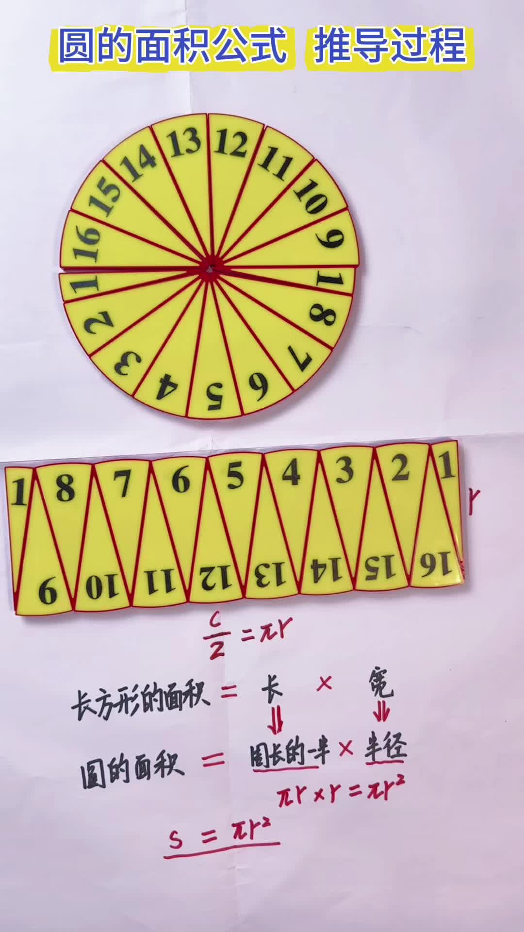 圆的面积公式推导过程 #六年级数学 #圆的面积 #公式推导 #必考考点 #...
