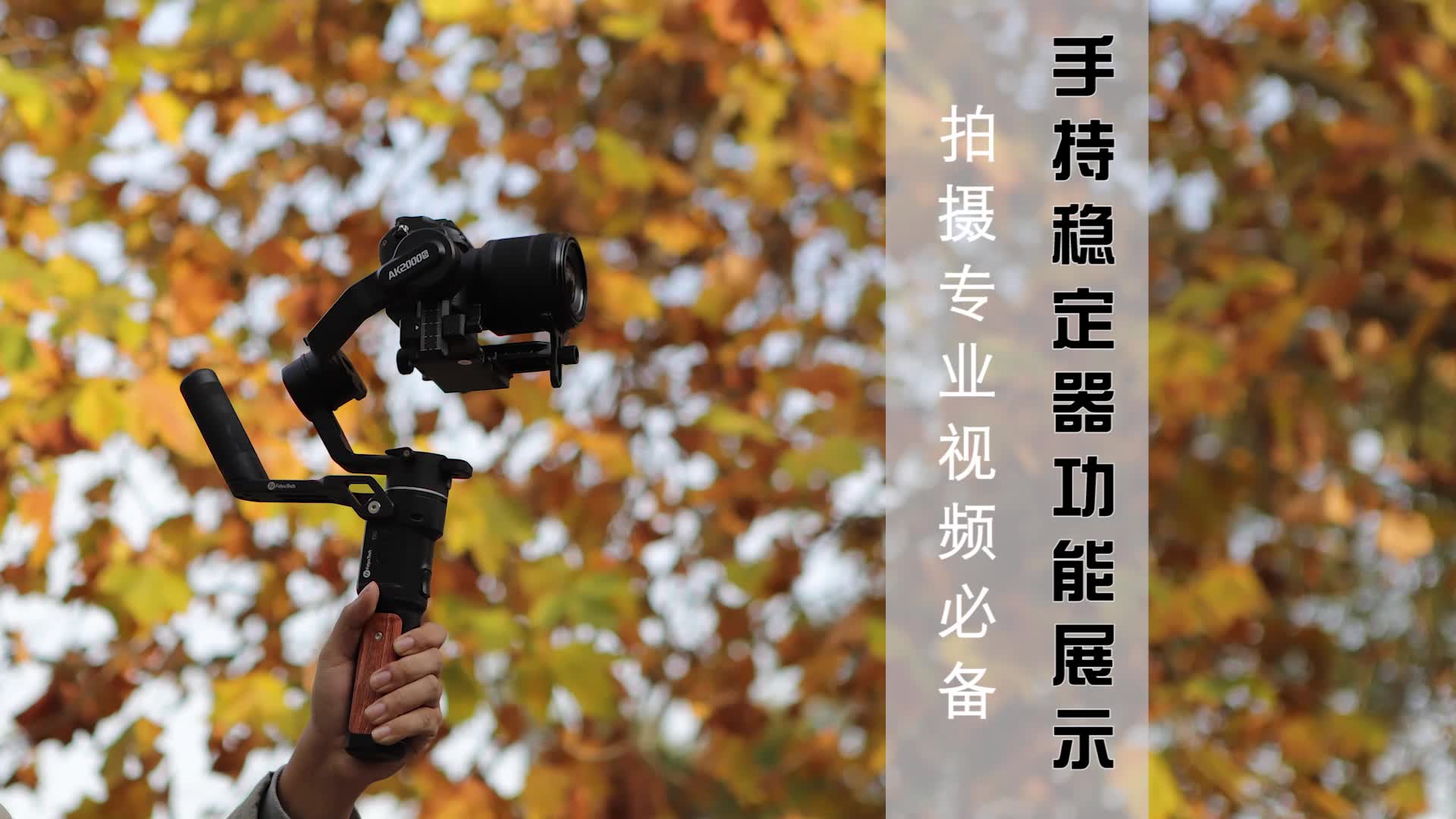 小姐姐来告诉你,飞宇AK2000S这几种模式拍出的视频有多好看