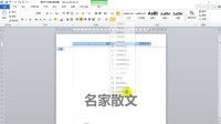第9节页眉页脚设置_word2010视频- 标清