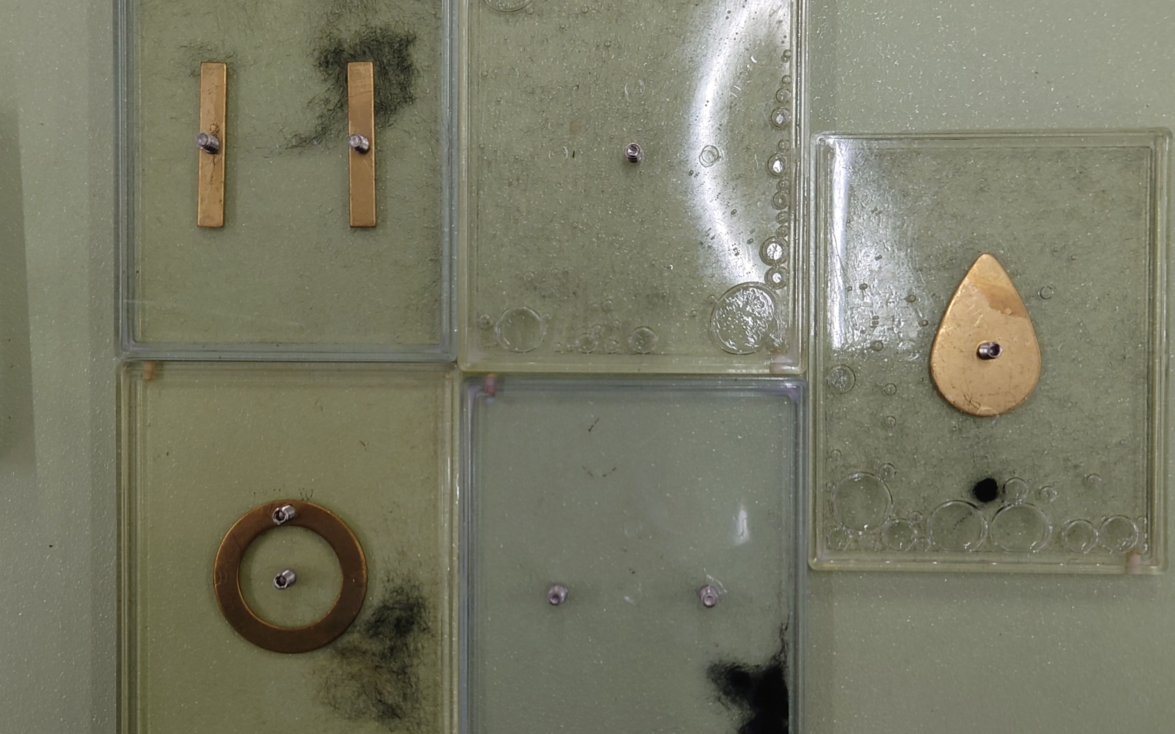 用头发丝和蓖麻油模拟电场线