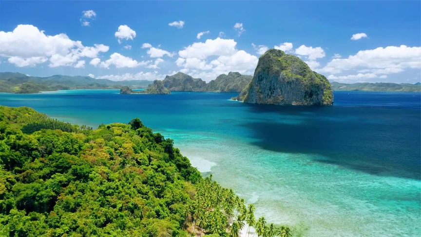 冥想放松助眠曲:当树枝开始摇摆,便知暖光开始指挥