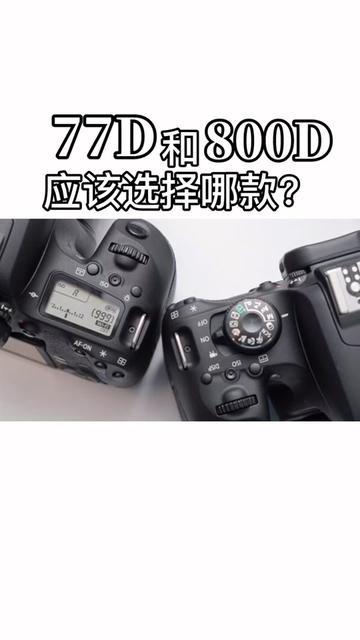 佳能相机77D和800D的区别单反