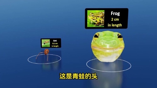 不同大小排行(3D展示)693667