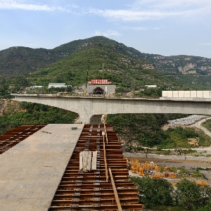 li946399754 