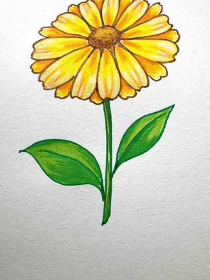 今天用丙烯马克笔教大家画漂亮的小花花 #简笔画 #育儿简笔画 #简易...