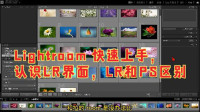 Lightroom 快速上手，认识LR界面，LR和PS区别01